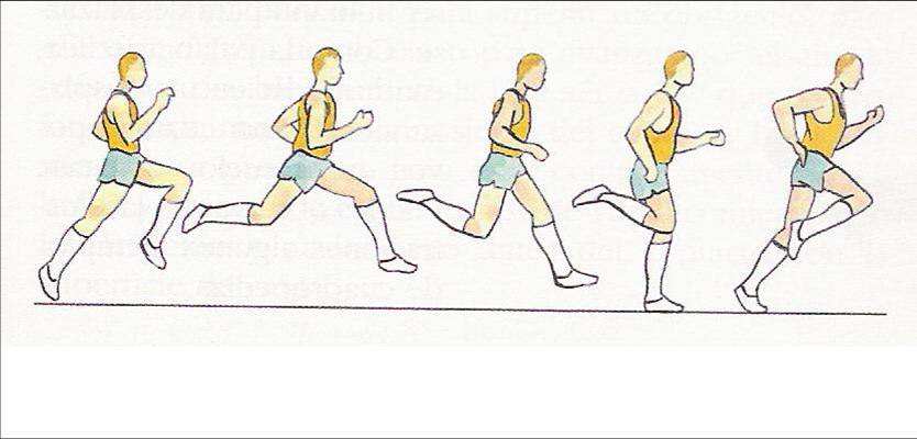 Saltos y Desplazamientos: 2.- TEORÍA