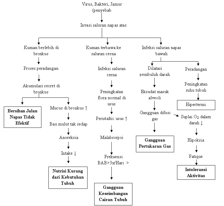 Askep Bronchopneumonia - canadianfasr