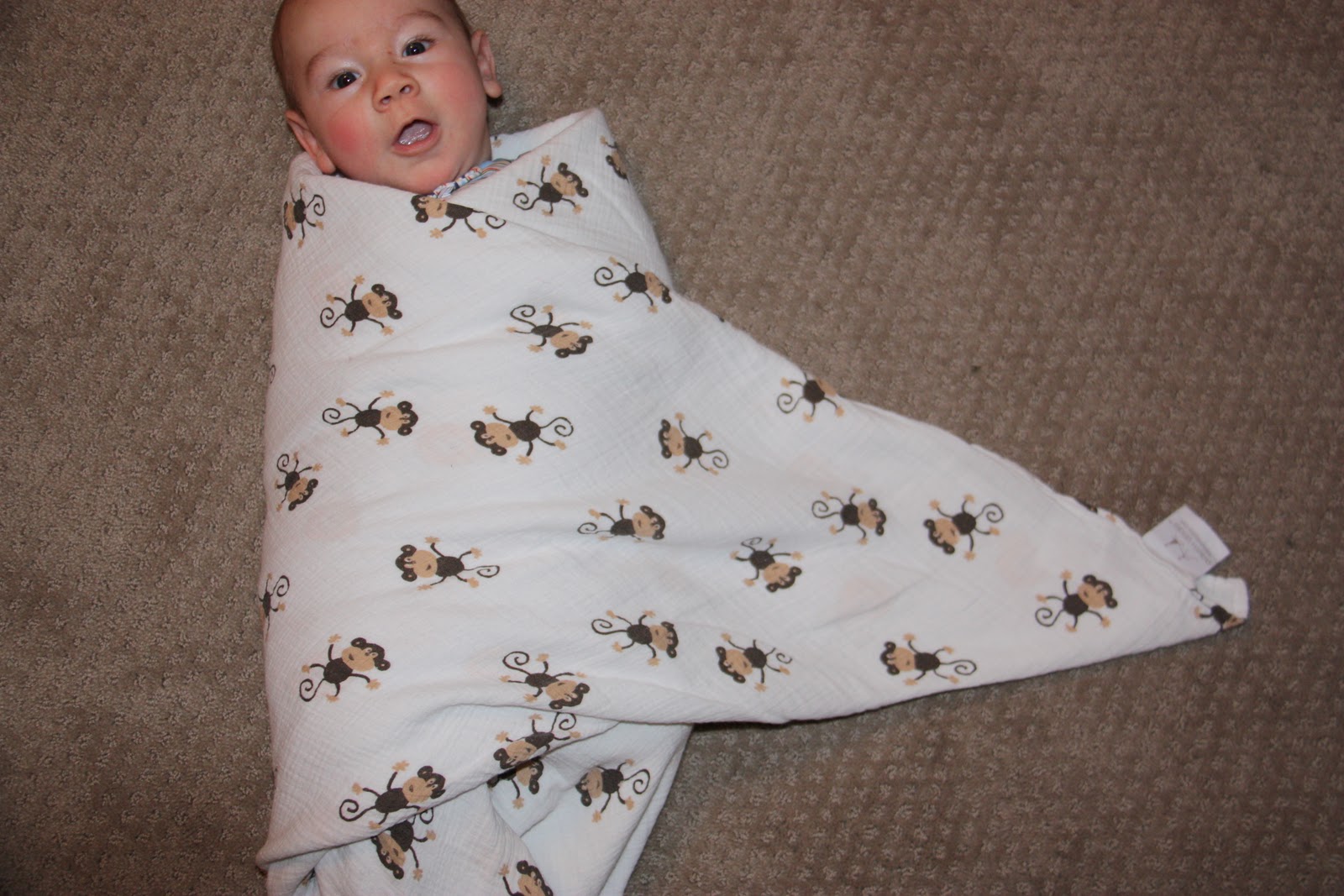 The Cheeky Chic Family: Swaddling :: One of the Best Tricks I Know
