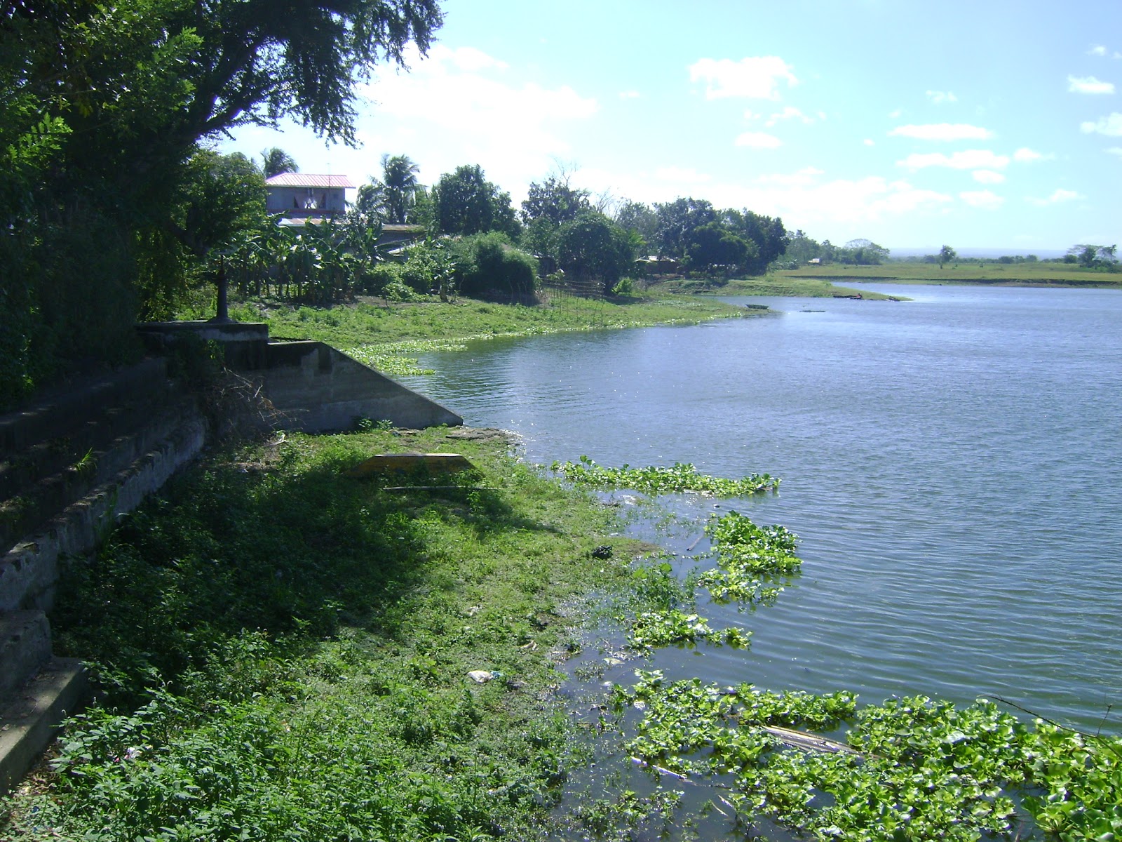 Dince's Chronicles: 2013