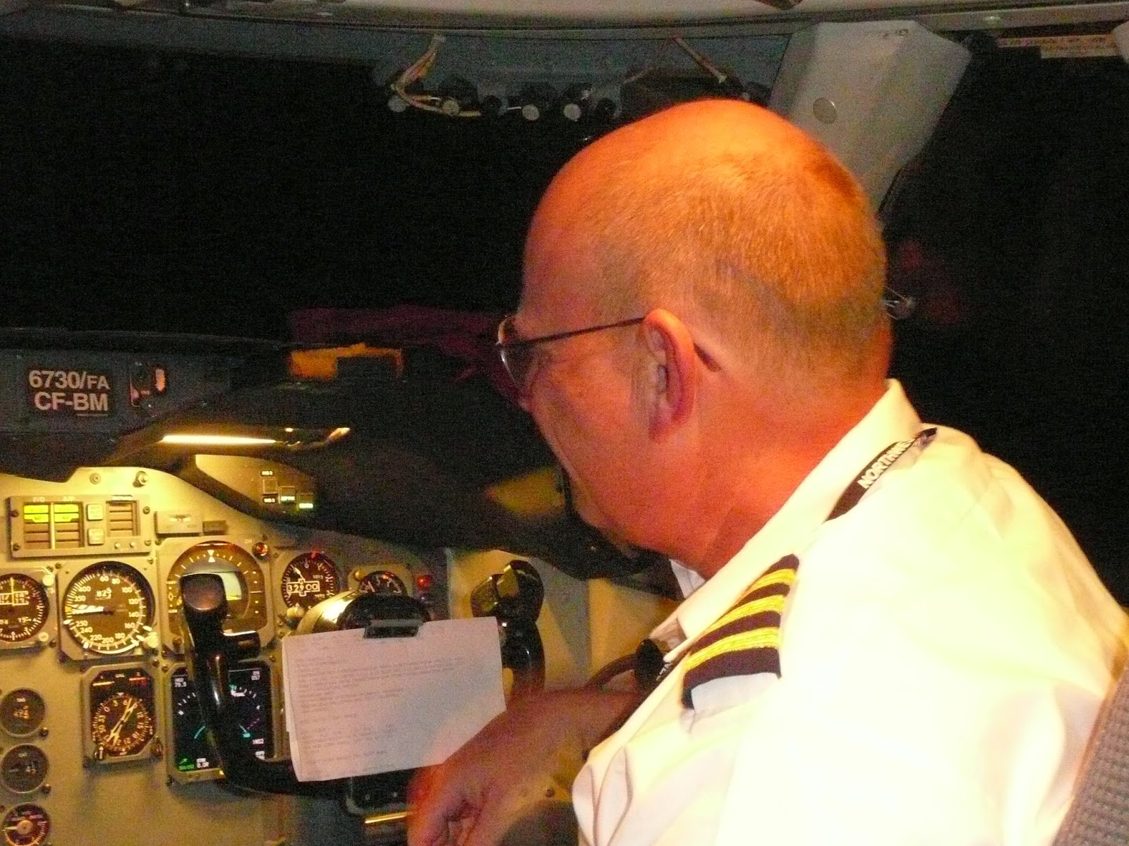 Flight To Success: Freight Dogs Unite.