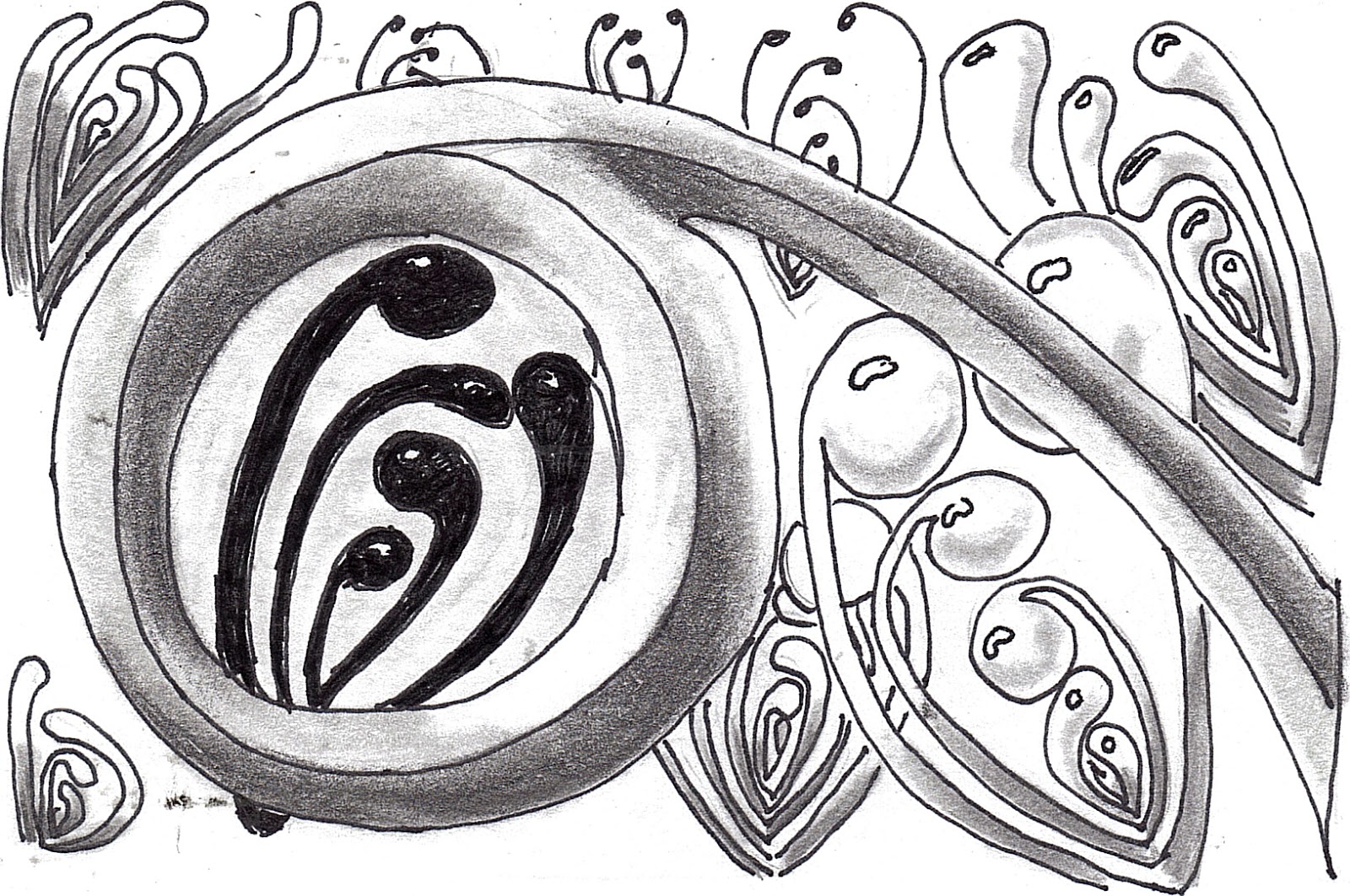 The Mooka Maven: EVOLUTION OF MY MOOKAS 6:Transparency & holes