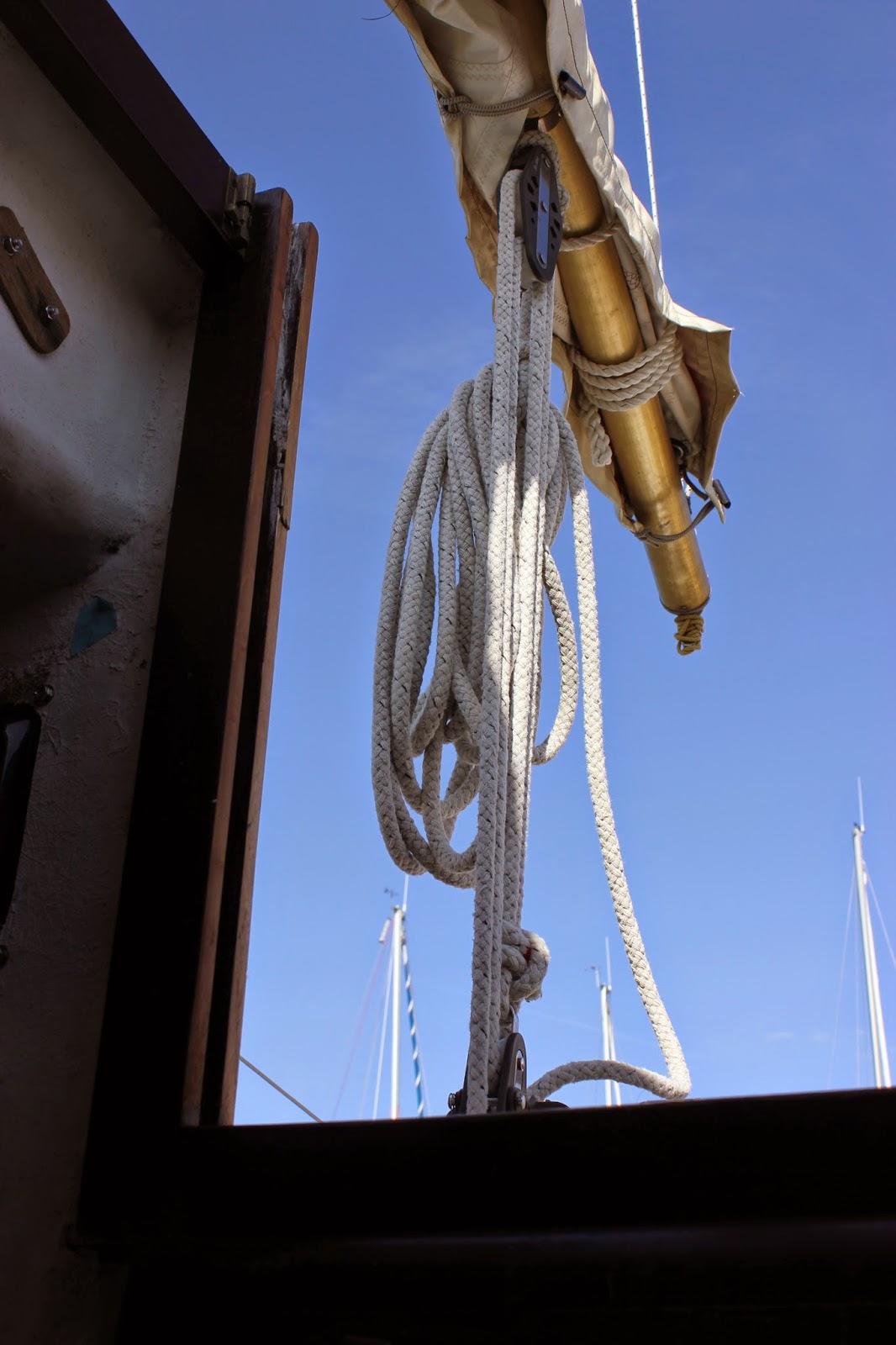 Jib Sheet Shackle at Kevin Conger blog