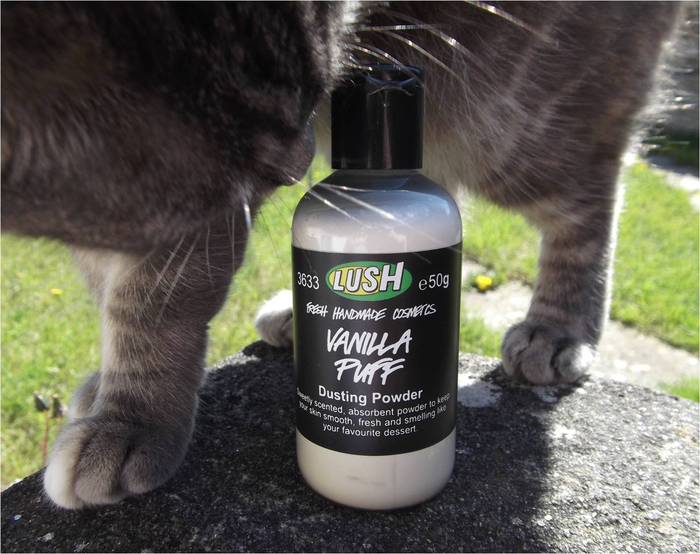 Freckled Elle: Lush Vanilla Puff Dusting Powder