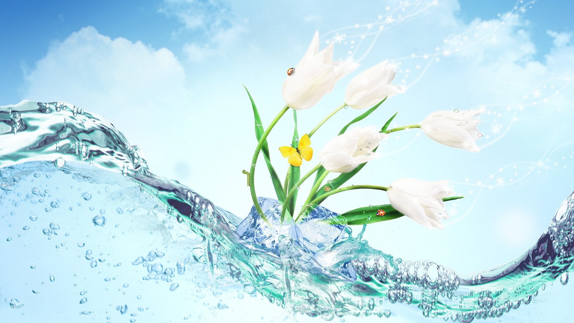 Wallpapers Fleurs - Pack 002 - Wallpapers & Partage