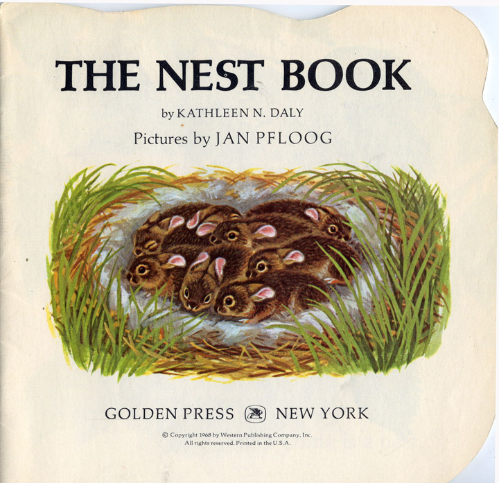 The Art of Children's Picture Books: Vintage Childrens Book: The Nest Book