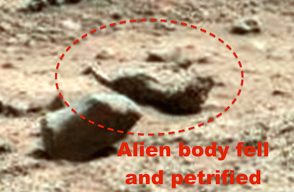UFO SIGHTINGS DAILY: Alien skull Found On Mars Surface In HD Photo ...