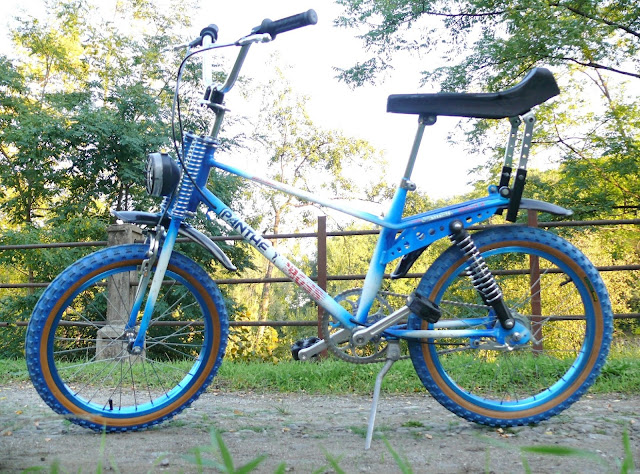 bicinova2: - Rabasa Derbi Panther Cross mach II "Blau Rat"