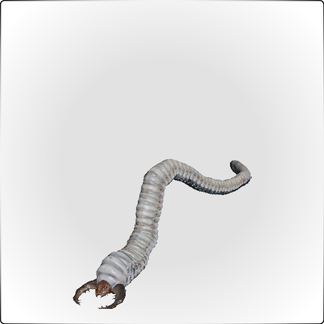 Parasite Larva | Bloodborne Wiki