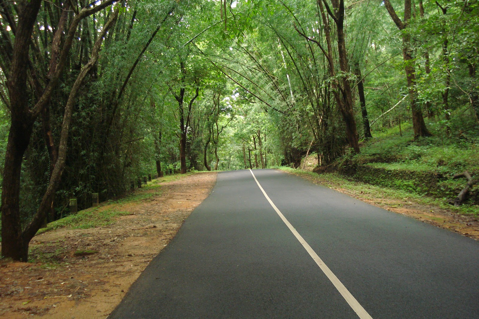 bijualapatt: Valpara Photos