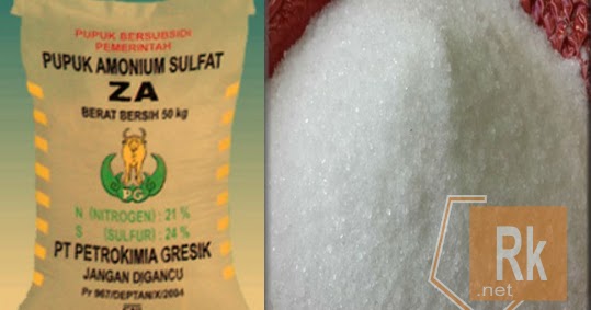 Rumus Kimia, Pengertian, Proses Pembuatan Pupuk ZA - Rumus Kimia