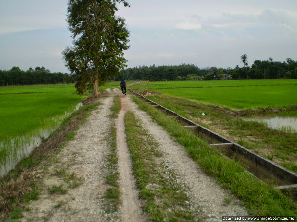 MY CYCLING BLOG..: KAYUHAN KE BENDANG DI PETANG HARI.