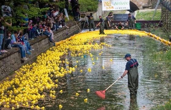 Dichisurile Ralucai: Luxemburg - Duck Race 2014 - Cursa rațelor de cauciuc