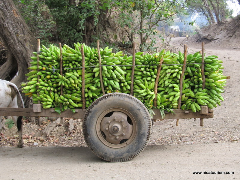 Nicaragua - People and places: 5000 bananas 5000 guineos