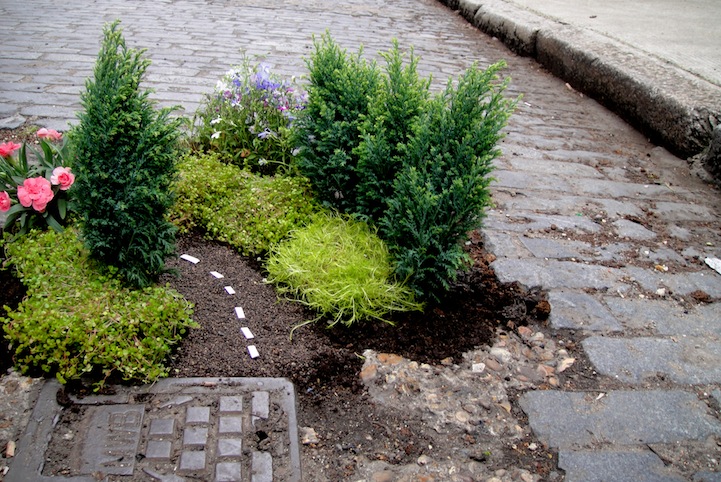 Beautiful Pictures: Potholes In London Roads Turned Into Gardens!