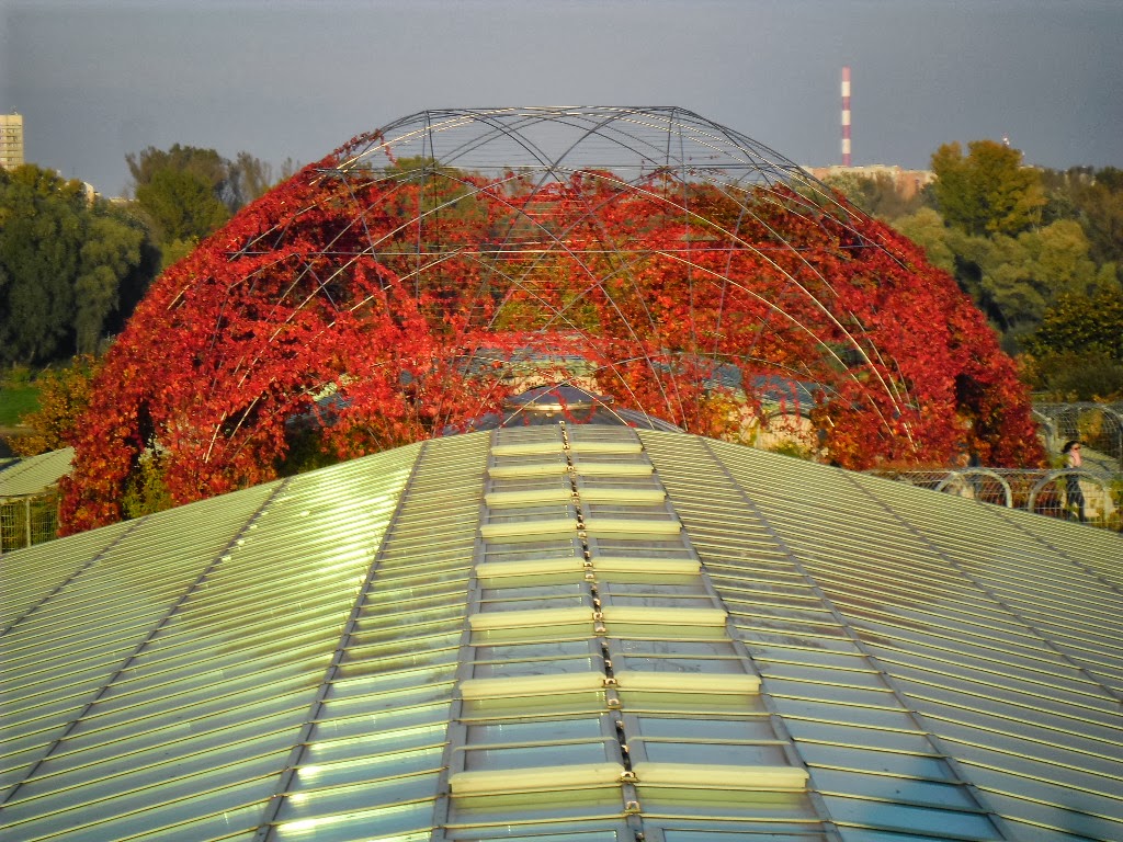 Pat Papertown 2: Warsaw University Library Roof