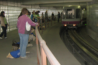 South Pinellas Puppy Raisers: Tampa International Airport February 11