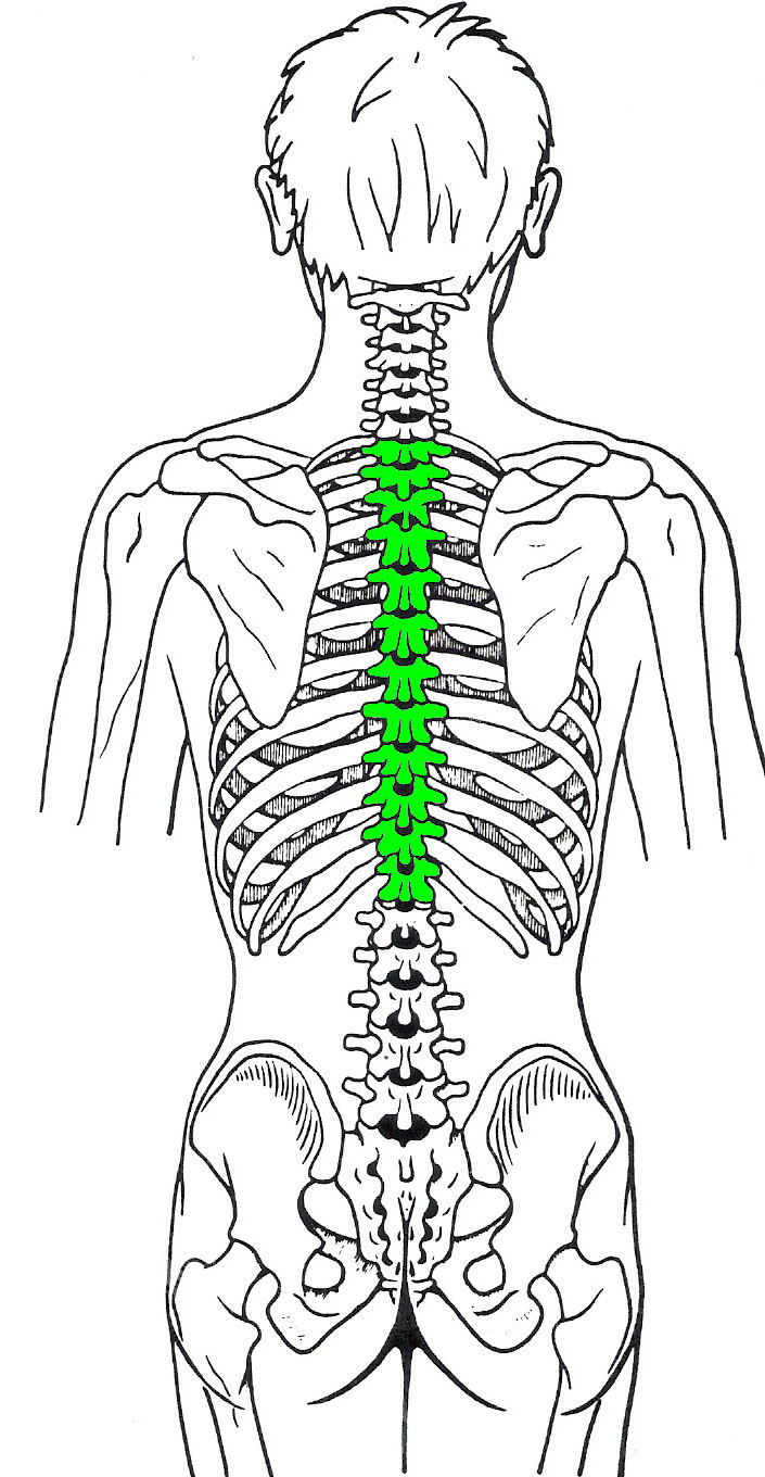 FIREBERT: November 2011