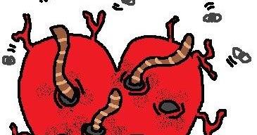 Gambar Hati Busuk ~ galeri gambar hade