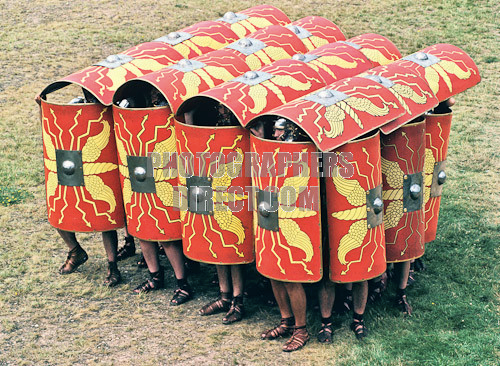 Biomimicry Selangor: The journey of a turtle: Bio-inspiration - Turtle ...