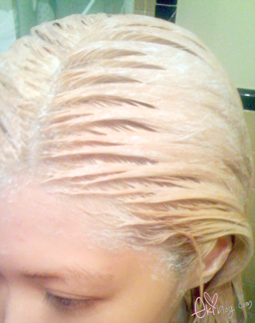 ekiBlog.com: Hair Bleaching and Light ash brown hair color