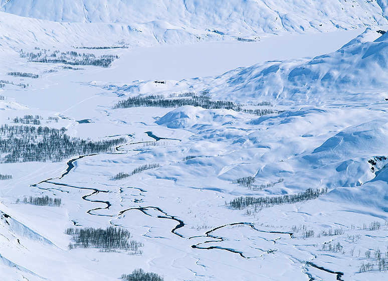 @LittleBearProd Blog: Cont, NO PEBBLE MINE, 201-300: Pictures from ...