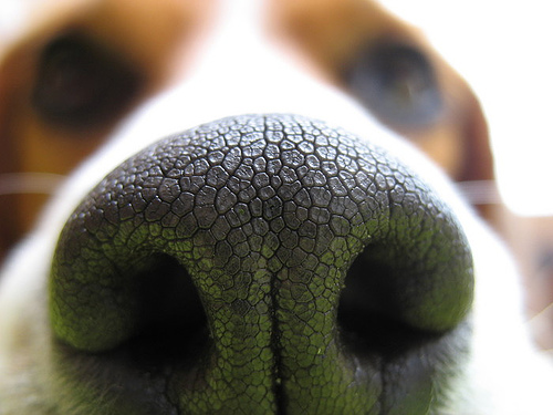 130 Samantha Coates: 40 - Amplified Perspective