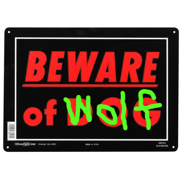 Officer shoots pet wolf after jumping in back yard on a foot chase ...