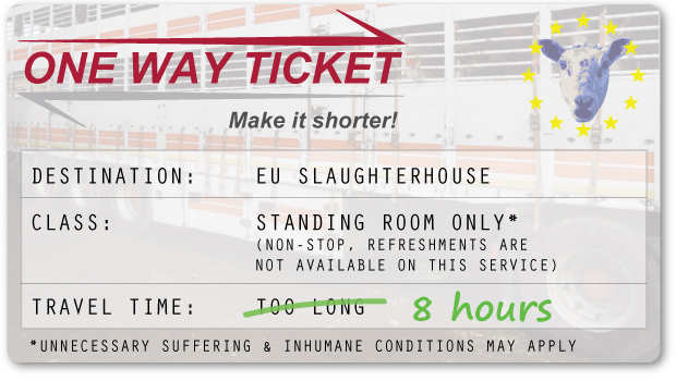 The Animal News: November 2011