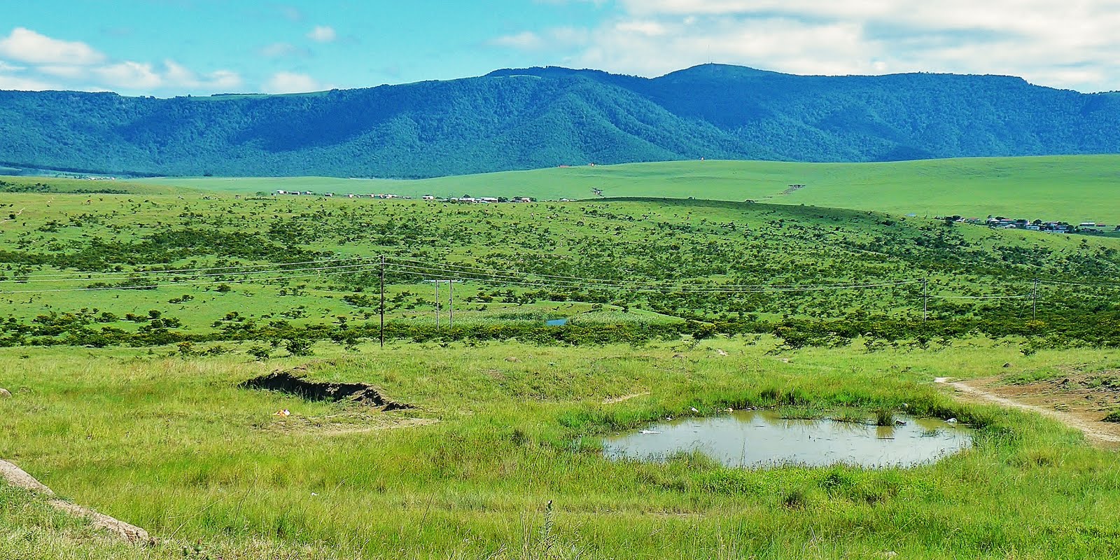 Go with Henry: Tour of the Eastern Cape - Port Alfred, King Williams ...
