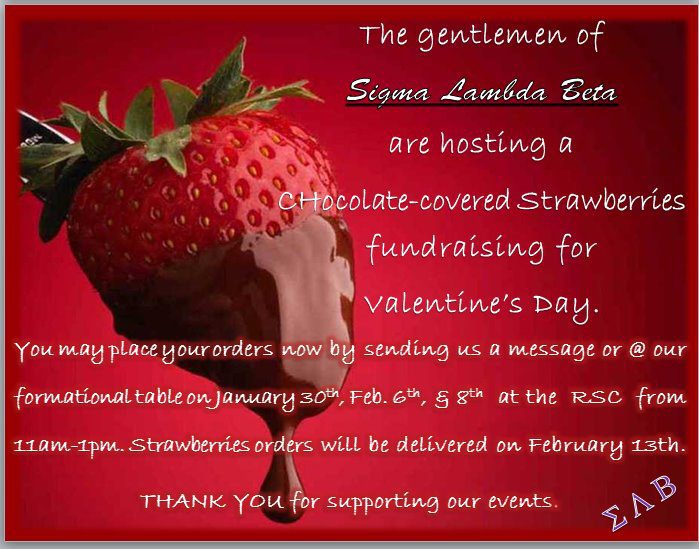 Rho Beta Blog: Valentine's Day Chocolate-Covered Strawberry Fundraiser!