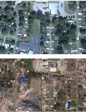 Avian Flu Diary: Because Sometimes There's No Warning