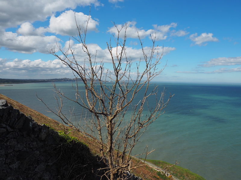 Poprvé v Bray. Zmrzlina, moře a začátek léta! - Blogcestnik.cz