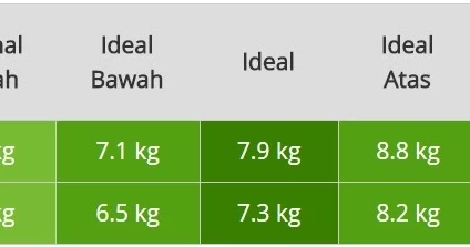 Berat Badan & Tinggi Bayi Usia Enam Bulan Laki-Laki & Perempuan - Tips ...