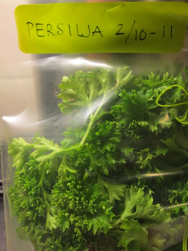 Min Goda Sida: Frysa in persilja