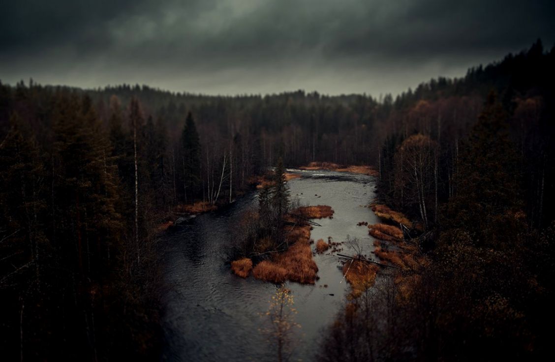 Dark Autumn Forest Wallpaper | Amazing Wallpapers