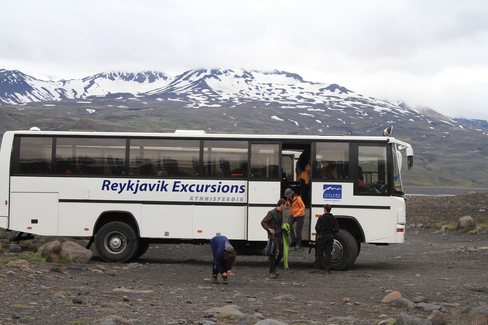 Reykjavik excursions bus | Excursions, Reykjavik, Bus