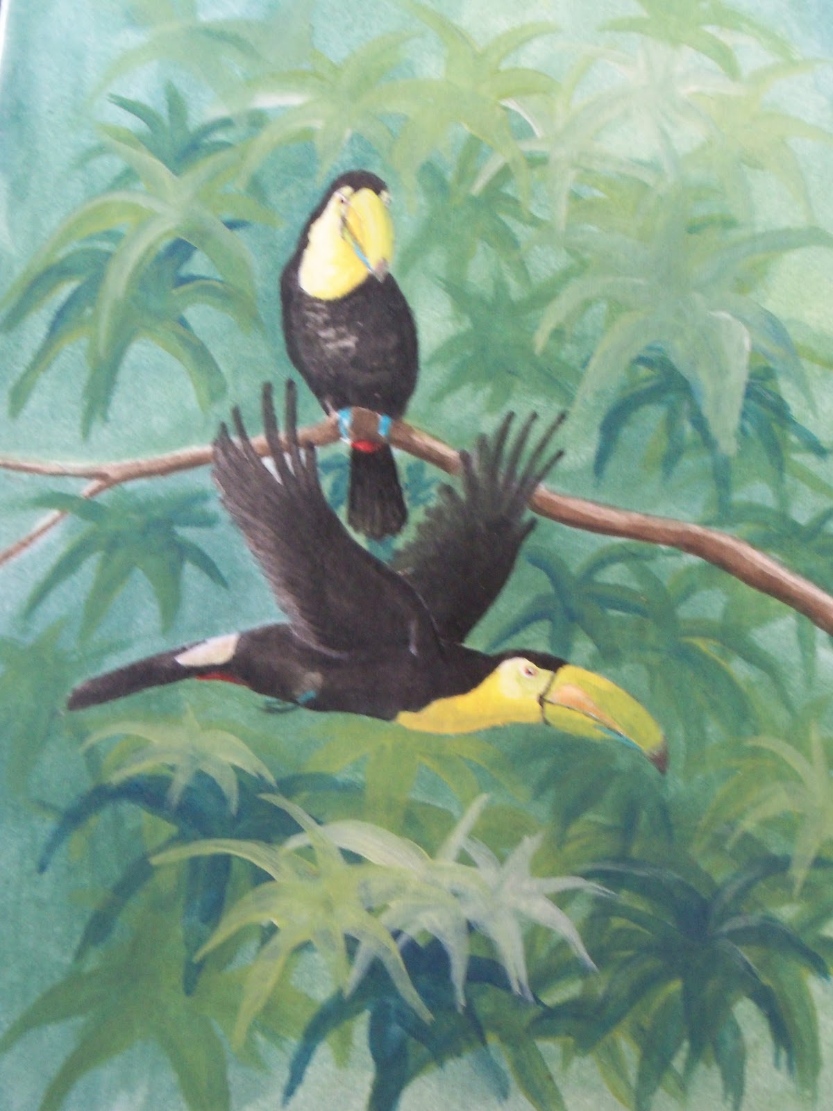 Jungle and Rainforest Art of Costa Rica: Wildlife Paintings and Photographs