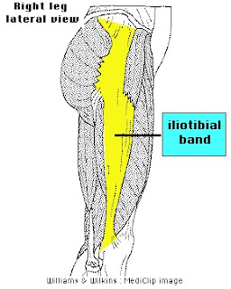 ChiropracticAthlete: SQUEAKY KNEES?