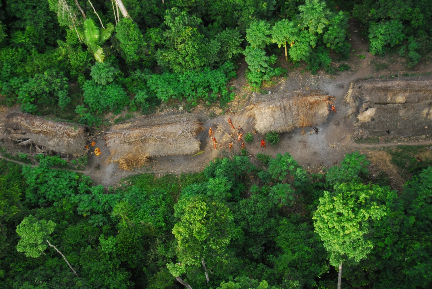 Uncontacted Amazonian village spotted from the air : r/Brazil