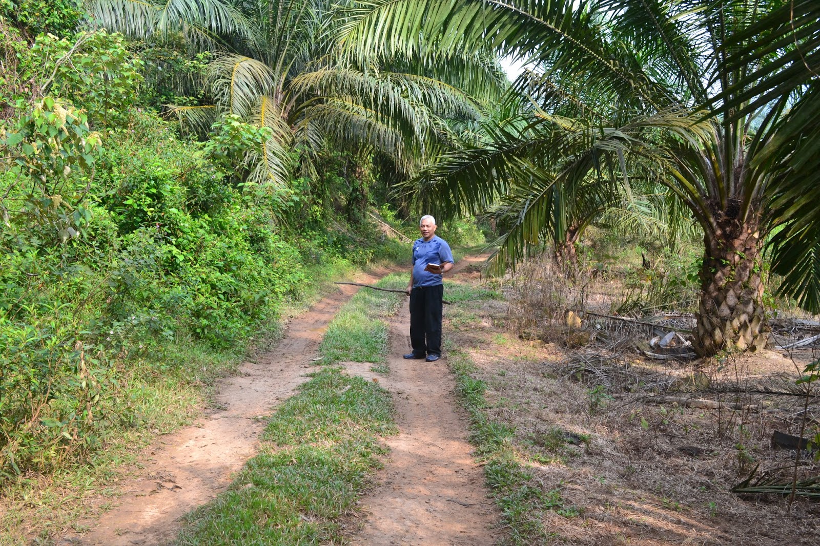 Tun Mamat dari Melaka ke Bukit Inas, Seri Medan