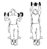5. Bodybuilding - Compound movement ~ BodyBuilding
