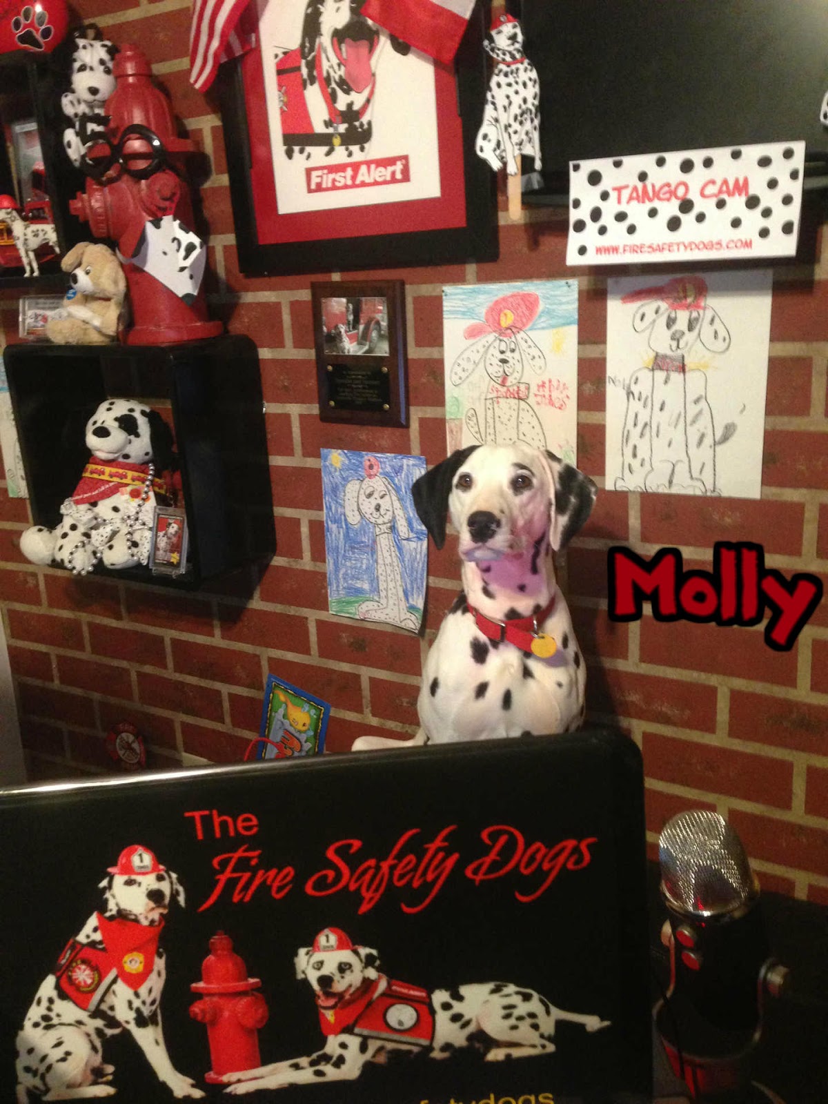 Fire Safety Rocks: Programs