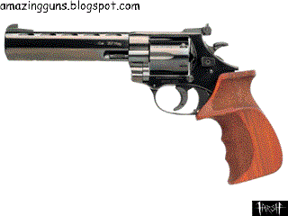 Arminus HW 357 .357 Magnum | Guns and guns