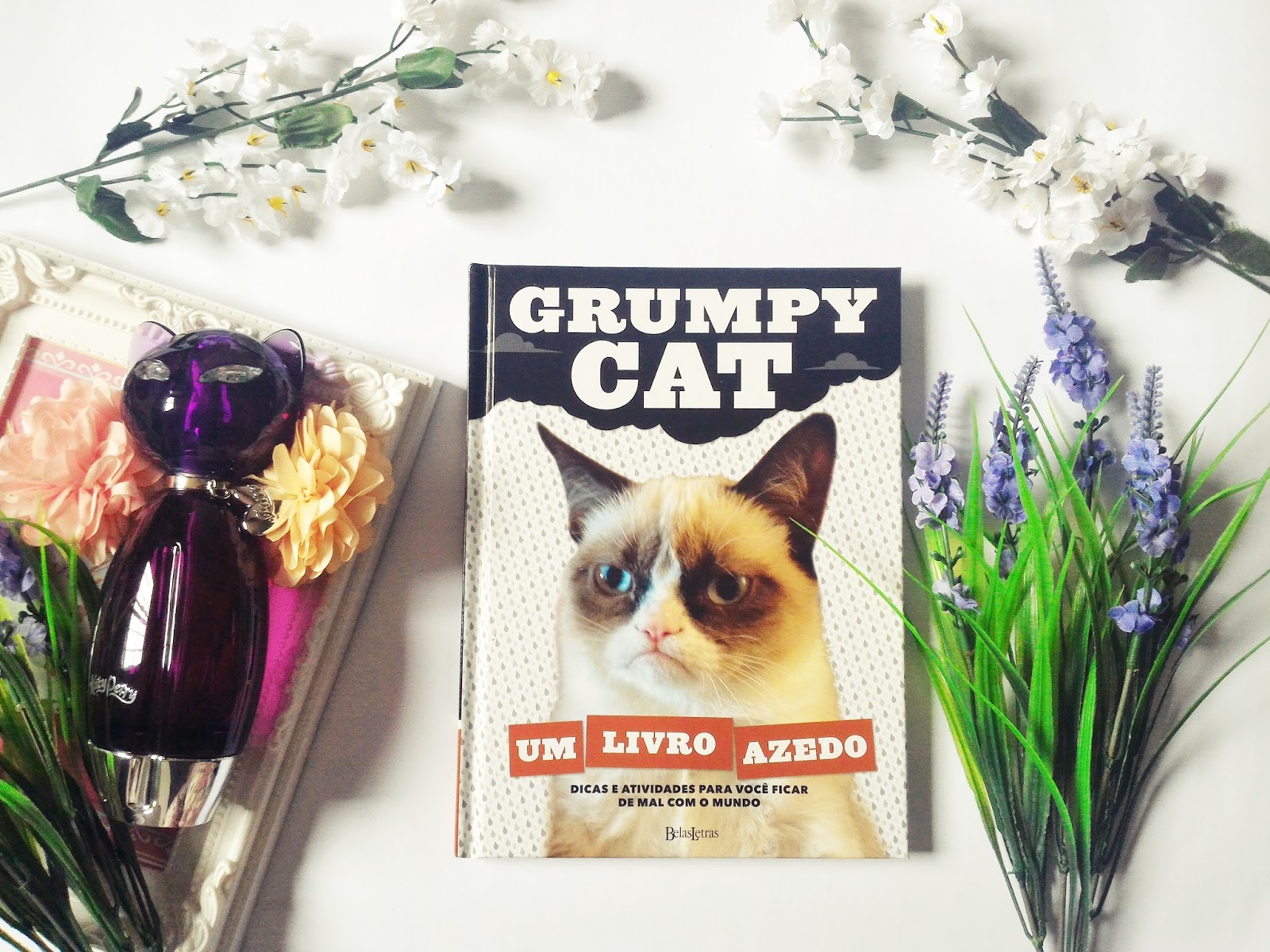 [Resenha #1145] Grumpy Cat - Um Livro Azedo @belasletras / Rotina Agridoce