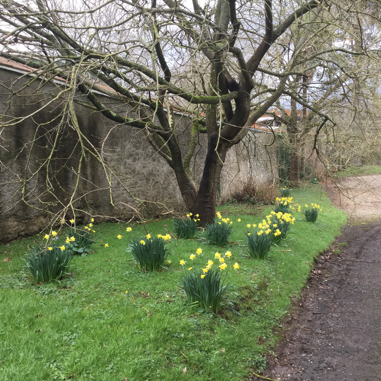 Al and Helen Warnick's Mission: Newton Abbot