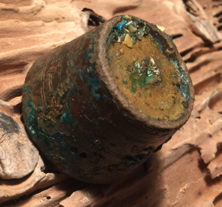 The Treasure Beaches Report Direct From Florida's Treasure Coast.: 6/12 ...