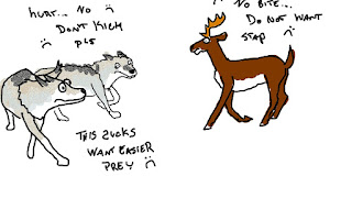 Wolf attacks on humans Danger - Danger Choices