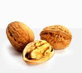 FRUTOS...: FRUTOS SECOS (INDEISCENTE):