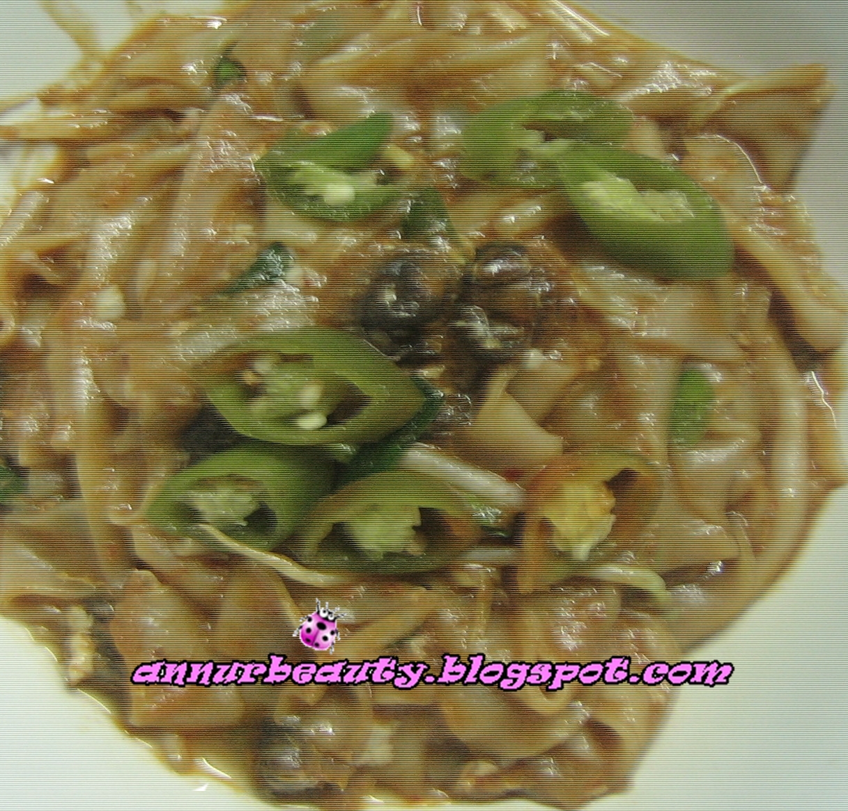 Penang Char Kuay Teow - kEmA.kItCheN